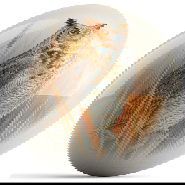 Ontheballbowling Horned Owl Bowling Ball By Wild Wings